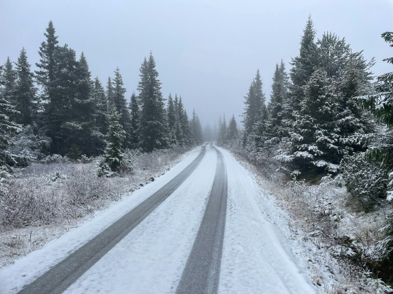 Speeding Tickets in Norway: What Visitors Need to Know - Norway Explained
